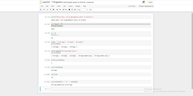 Python-Basics: Erfolgreich arbeiten mit Listen!