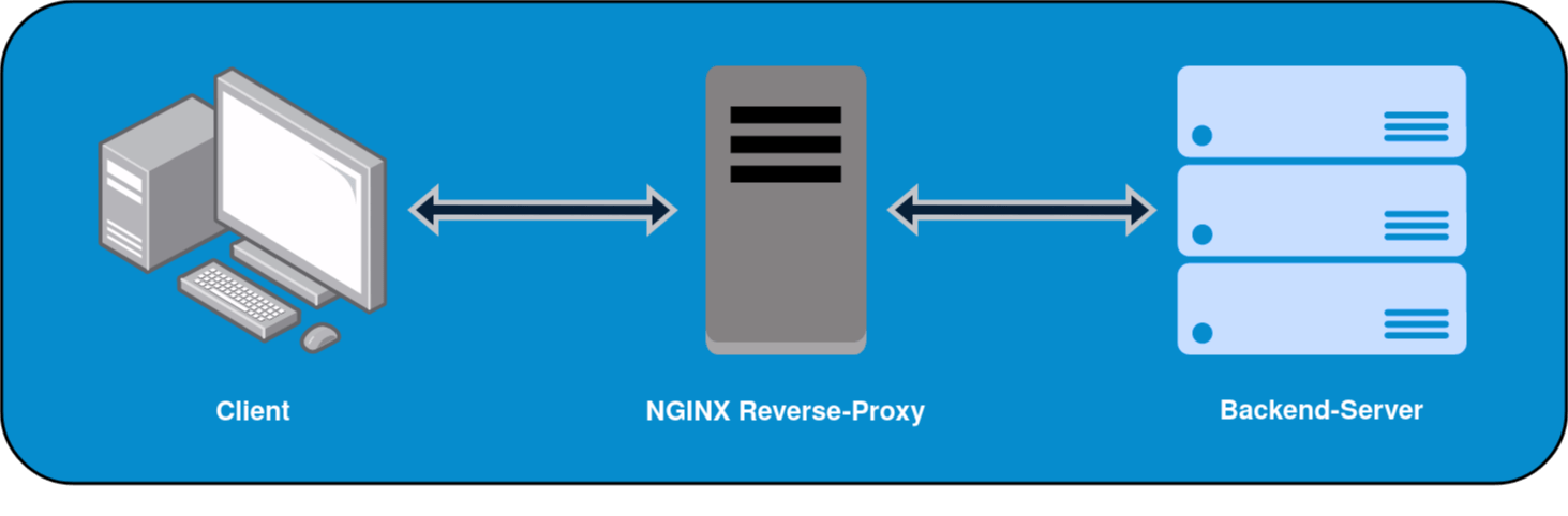 Masterclass Reverse Proxy Mit Nginx Erschaffen